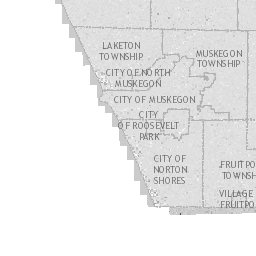 ArcGIS Web Application
