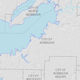 ArcGIS Web Application