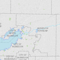 ArcGIS Web Application