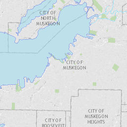 ArcGIS Web Application